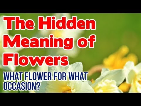 The Hidden Meaning of Flowers