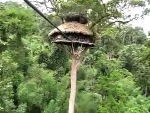 The Top 5 Treehouse Zip Lines « The Zip Line Guru