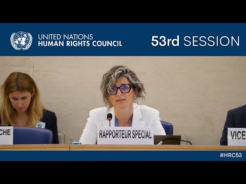 UN Special Rapporteur on arbitrary deprivation of liberty in Occupied Palestinian Territory
