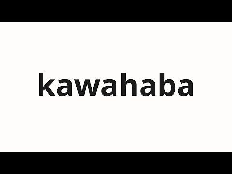 How to pronounce kawahaba | 川幅 (River width in Japanese)
