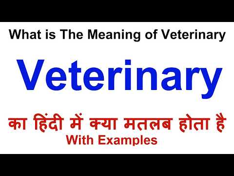 Veterinary Meaning in Hindi | Veterinary Definition | Veterinary Ka Matlab Kya Hota Hai