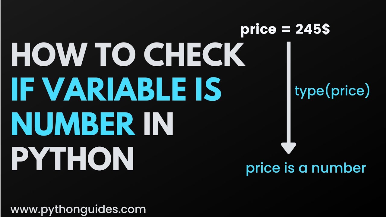 How to Check if variable is number in Python | Check Variable Type in Python | Python Beginner Guide