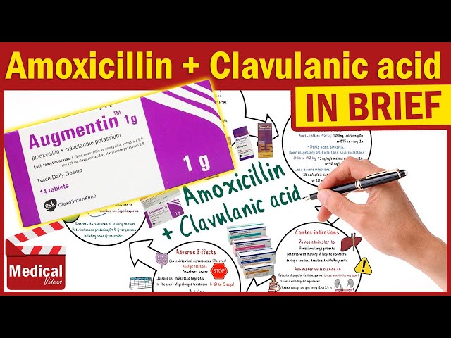 Antibiotic Medicines - Accuzone Plus INJECTION Wholesaler from Nagpur