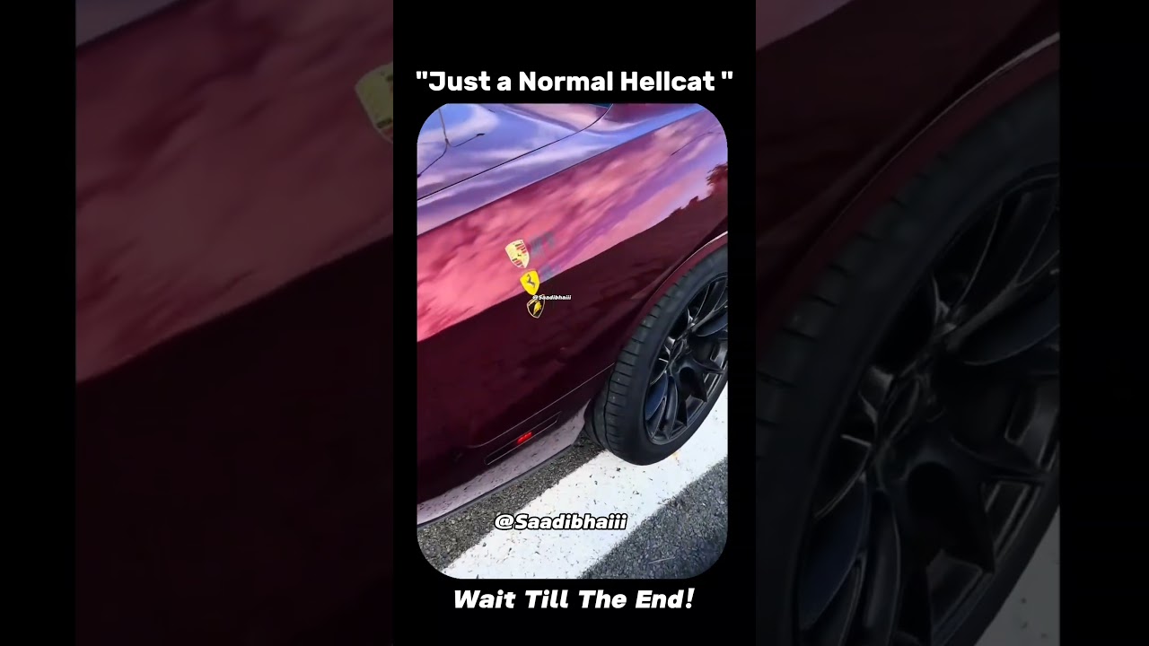 Just a normal hellcat!