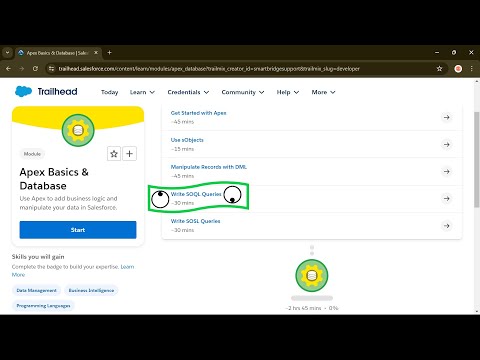 Write SOQL Queries || Apex Basics & Database || Salesforce Supported Virtual Internship Program 2024