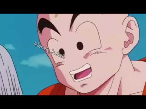 new trailer