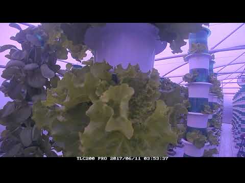 Batavia full cycle time lapse