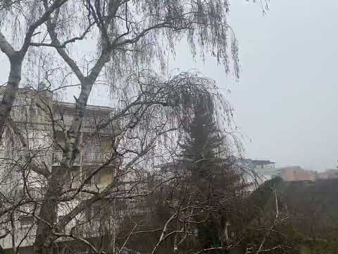 Update weather in Zagreb Croatia #visitcroatia #croatia #update #weather #winter #maksimirska