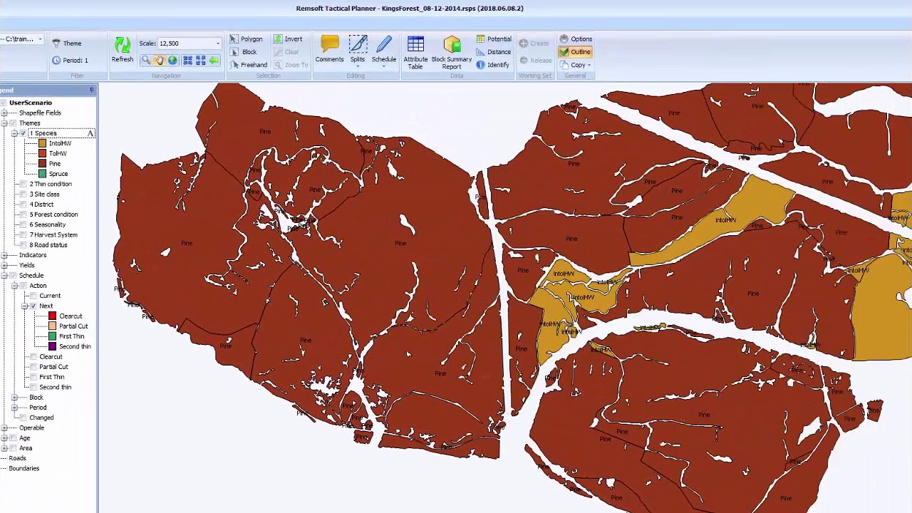 Tutorial: Remsoft Tactical Planner (RTP)