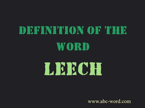 Definition of the word "Leech"