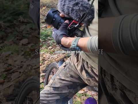 Samsung Galaxy S20 FE vs. Sony A7R II + Sony FE 24-105mm f/4.0 #6
