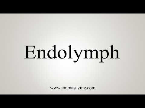 How To Say Endolymph