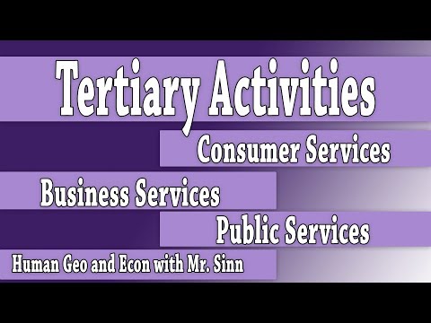 Types of Tertiary Activities Video Lecture - Geography Class 12 ...