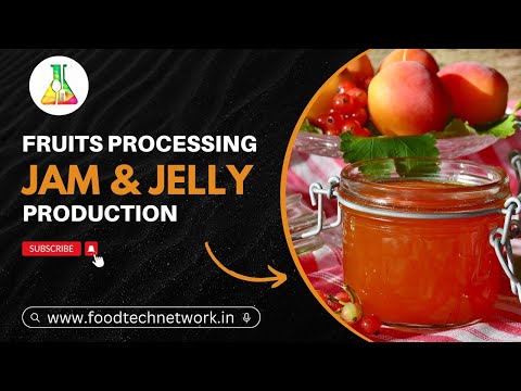 Jam & Jelly Production, Processing of Fruits, Food technology Lecture #foodtechnetwork #foodscience