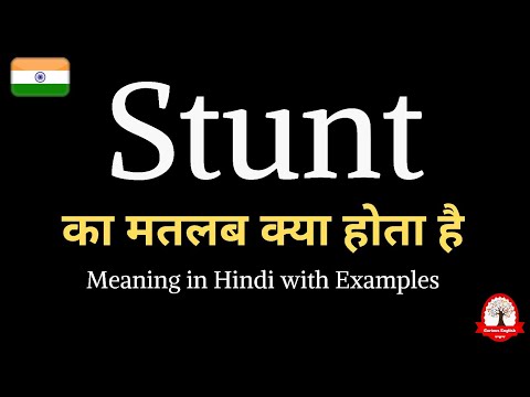 Stunt meaning in Hindi | Stunt ka matalab kya hota hai | Word meaning in Hindi