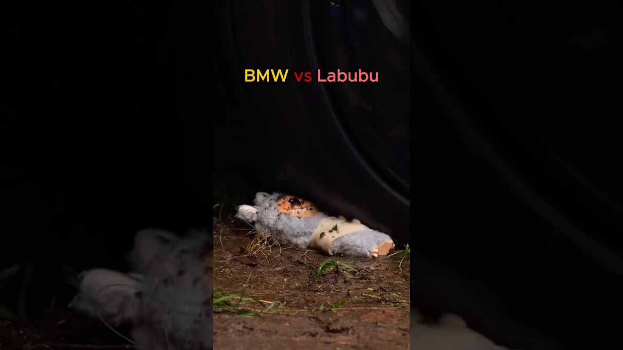 Cars Vs Labubu 💀