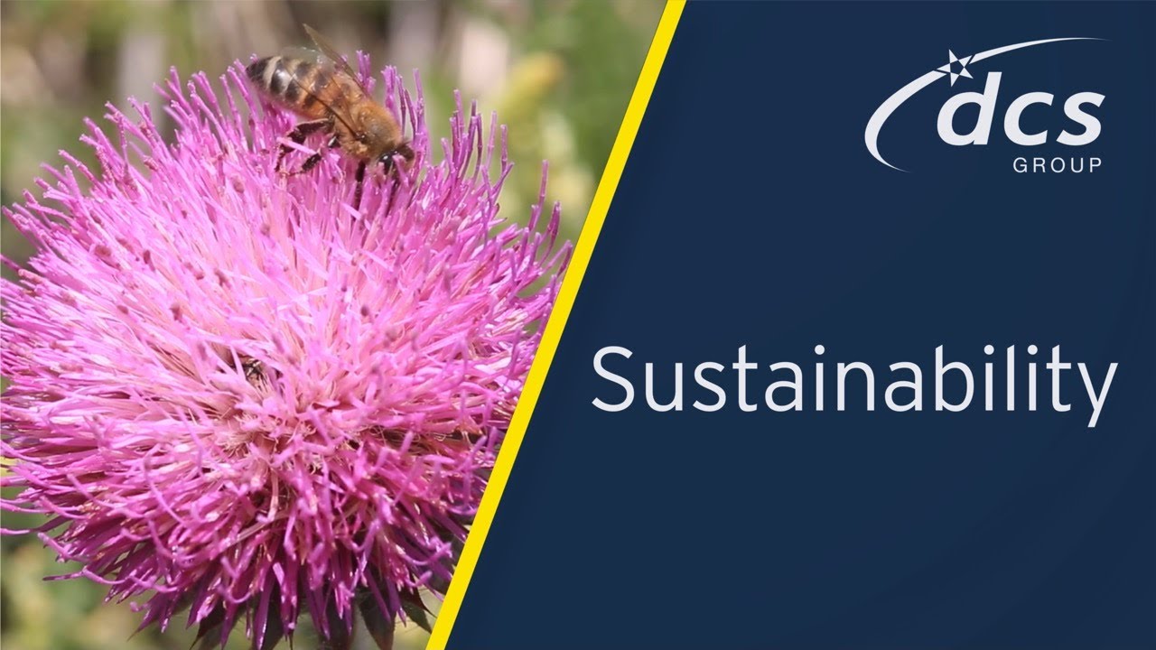 Sustainability - DCS Group