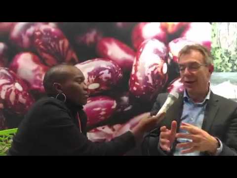 Impacts from 20 years of research for wheat improvement: Live Interview with Martin Kropff