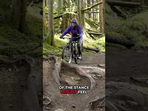 Perfect Entry Level Trail Bike: Giant Stance