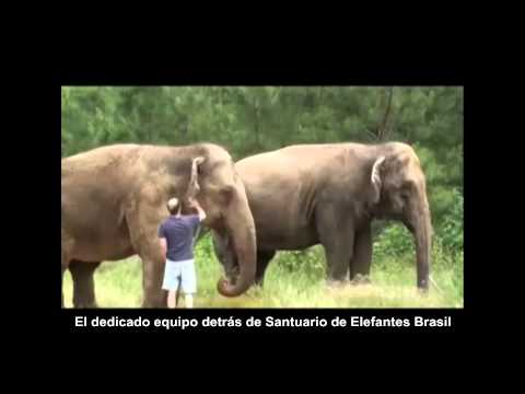ESB project with Spanish Subtitles