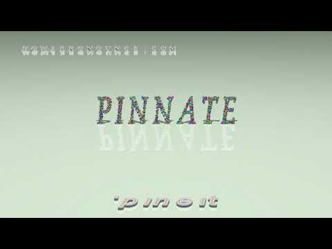 pinnate - pronunciation + Examples in sentences and phrases