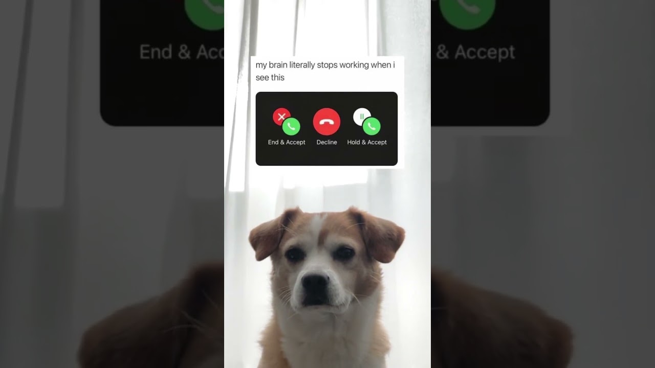 my brain stops working when i see this