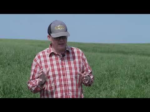 Where the Green Grass Grows | Summer | Andrew McCrea | Overview
