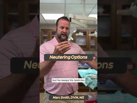 Neutering Options: What You Need to Know by Marc Smith, DVM, MS