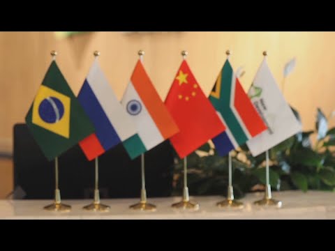 GLOBALink | BRICS nations play powerful role in global growth: Turkish expert