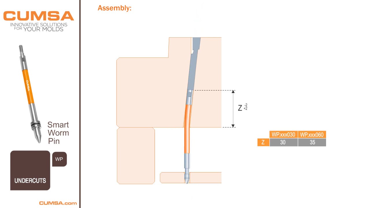 WP - Smart Worm Pin Demo