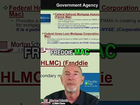 Understanding How Fannie Mae and Freddie Mac Work