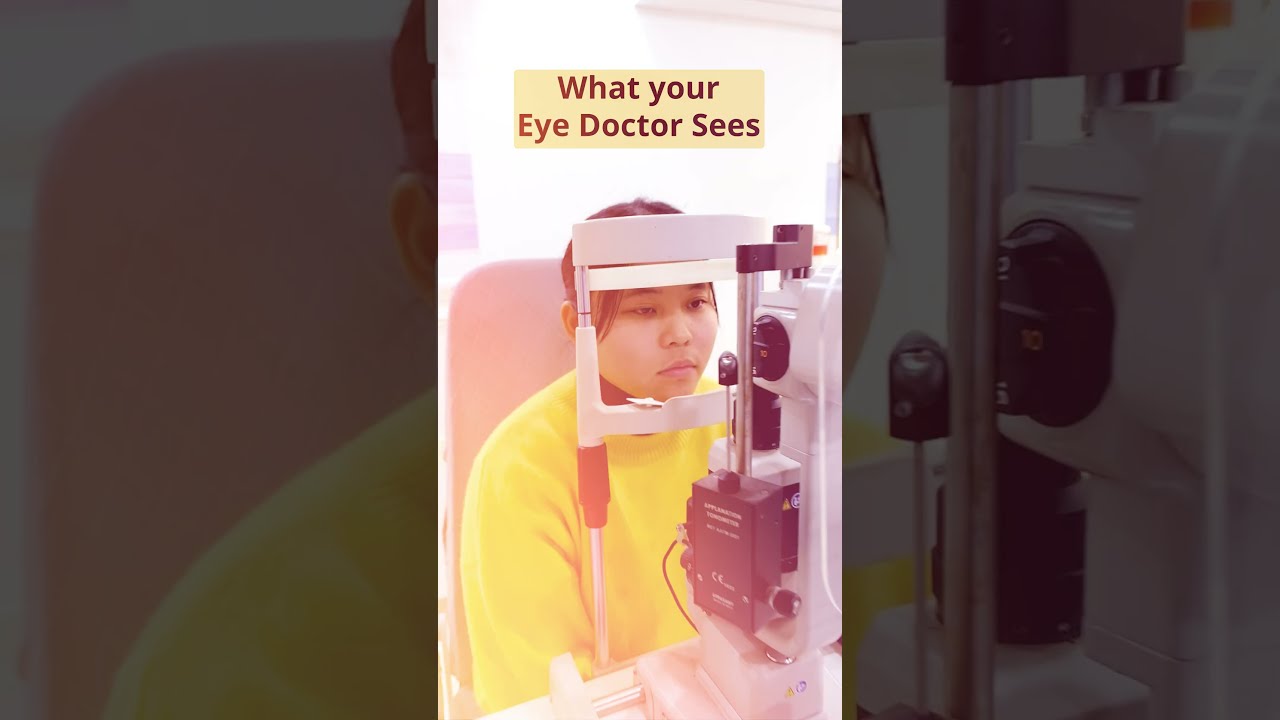 What Your Eye Doctor Sees During an Eye Exam