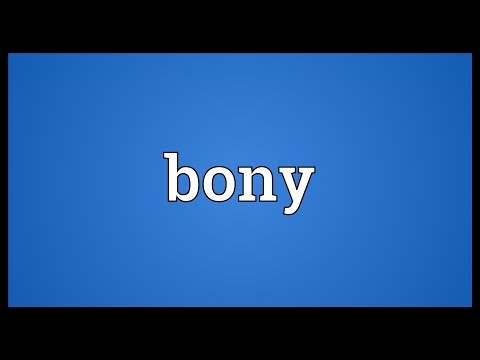 Bony Meaning