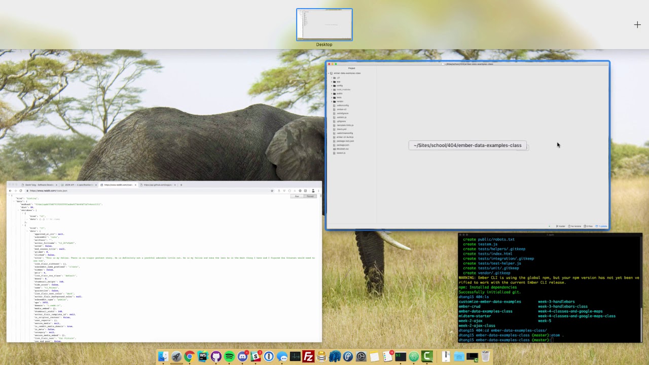 Customizing Ember Data