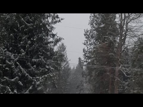 Snowing At Camano Island