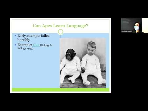 Cognitive Psychology Class: (11/30/2022)