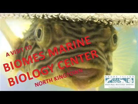 Biomes Marine Biology Center In North Kingstown Rhode Island