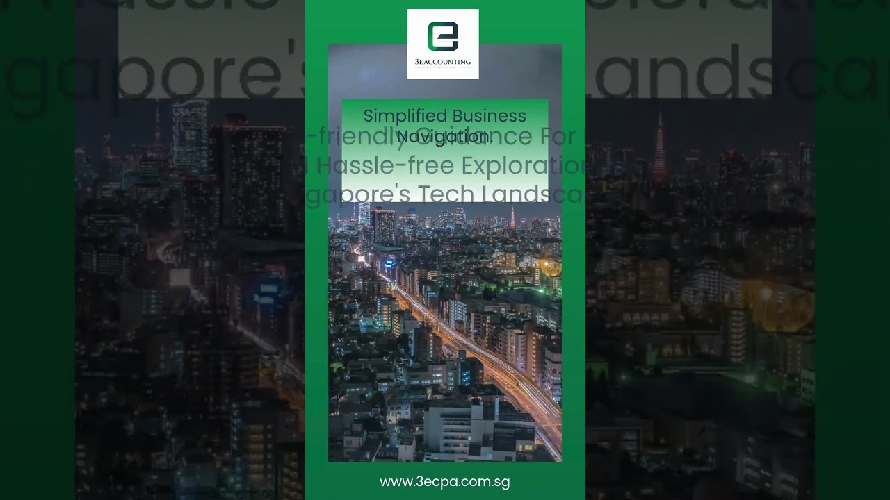 TechPass in Singapore with 3E Accounting