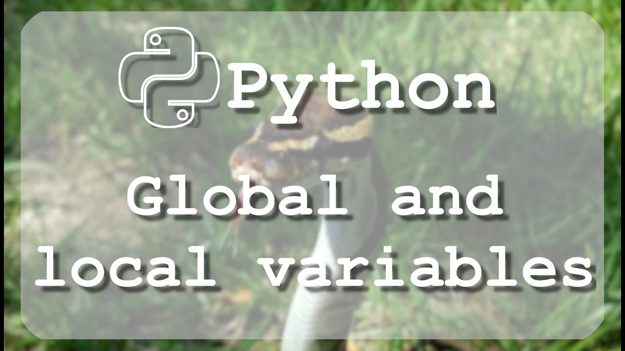 #12 Learn to use Python global and local variables
