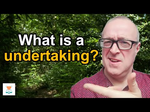 What is a undertaking in family courts? Professional McKenzie Friend explains | Domestic abuse