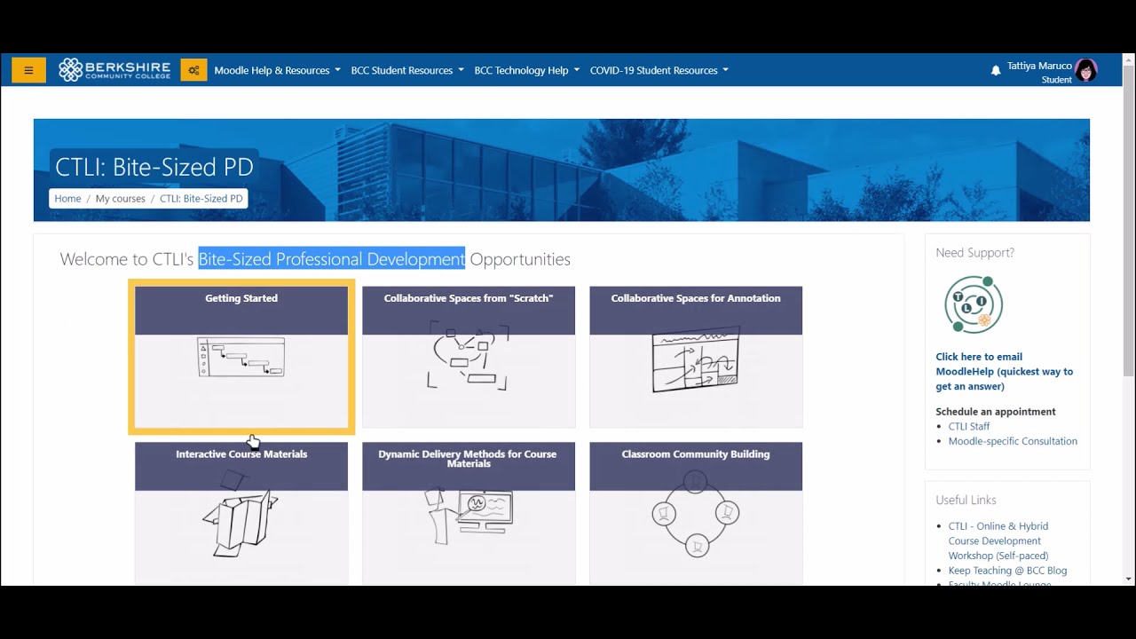 CTLI's Bite-Sized Professional Development Overview & Orientation
