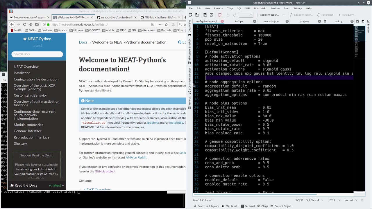 Configuring NEAT Projects - EP4 - Open-AI and NEAT Tutorial