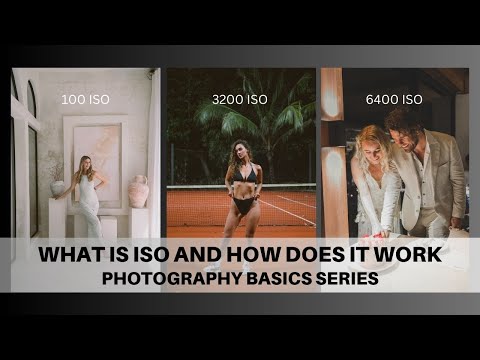 What does ISO mean in photography: Understanding the basics
