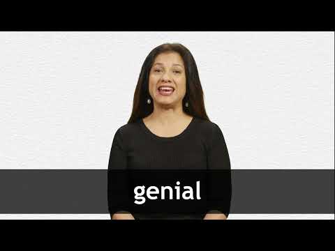 English Translation of “GENIAL” | Collins Spanish-English Dictionary