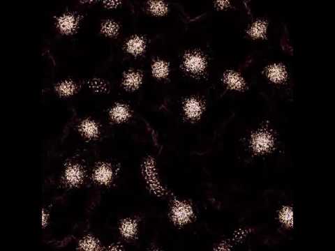 starburst / small – stars, crystals, and more