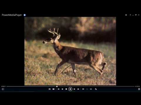 Native Americans of Texas: Farmers