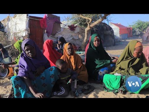 Somalia’s Capital Sees Influx of People Fleeing Drought