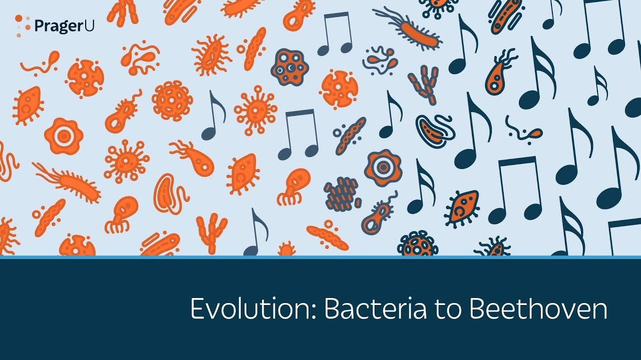 Evolution: Bacteria to Beethoven | 5 Minute Video