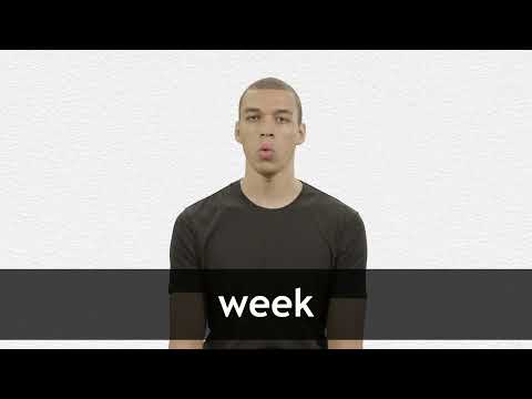 WEEK 释义 | 柯林斯英语词典