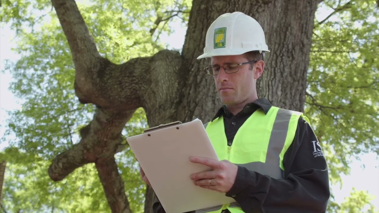 Basic Tree Risk Assessment